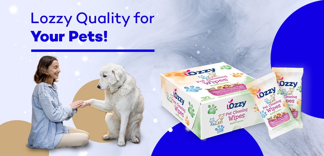 Create Clean and Hygienic Conditions Anytime Anywhere