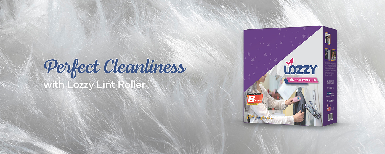 Lozzy — Leading Brand in Disposable Products